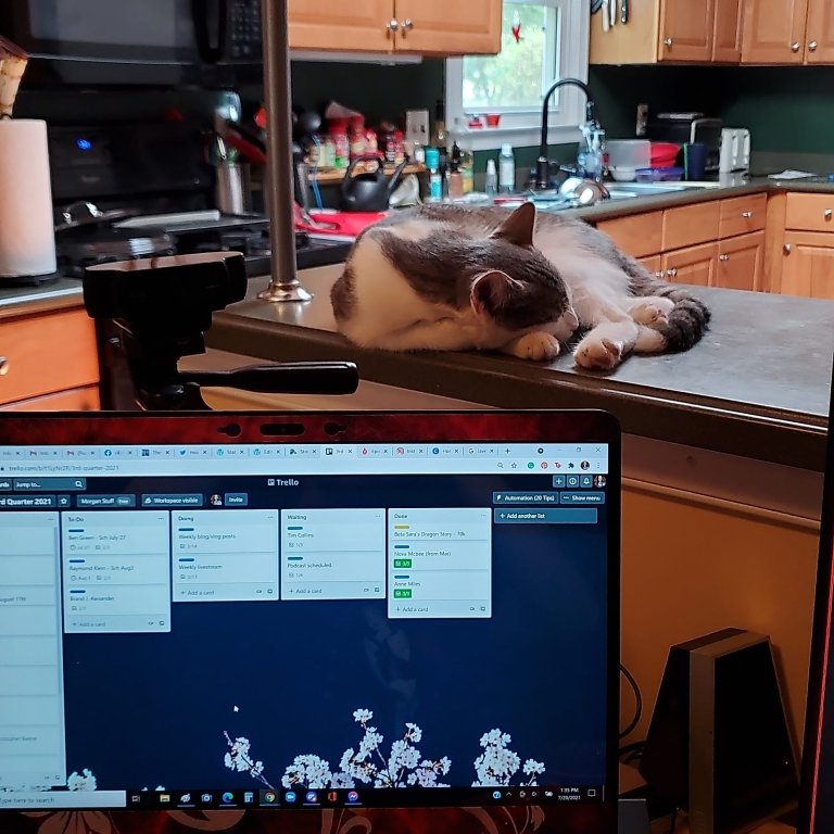 Introducing: Catticus! – WRITING TIPS & WRITERLY MUSINGS